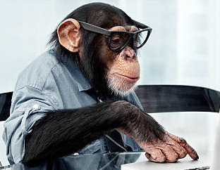 Monkey Assembly Language Support - Visual Studio Marketplace